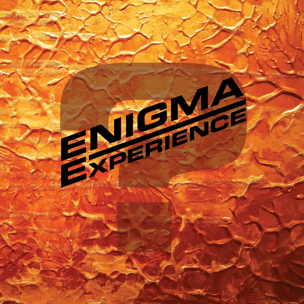 Enigma Experience - Question Mark (LP) — Coma Records